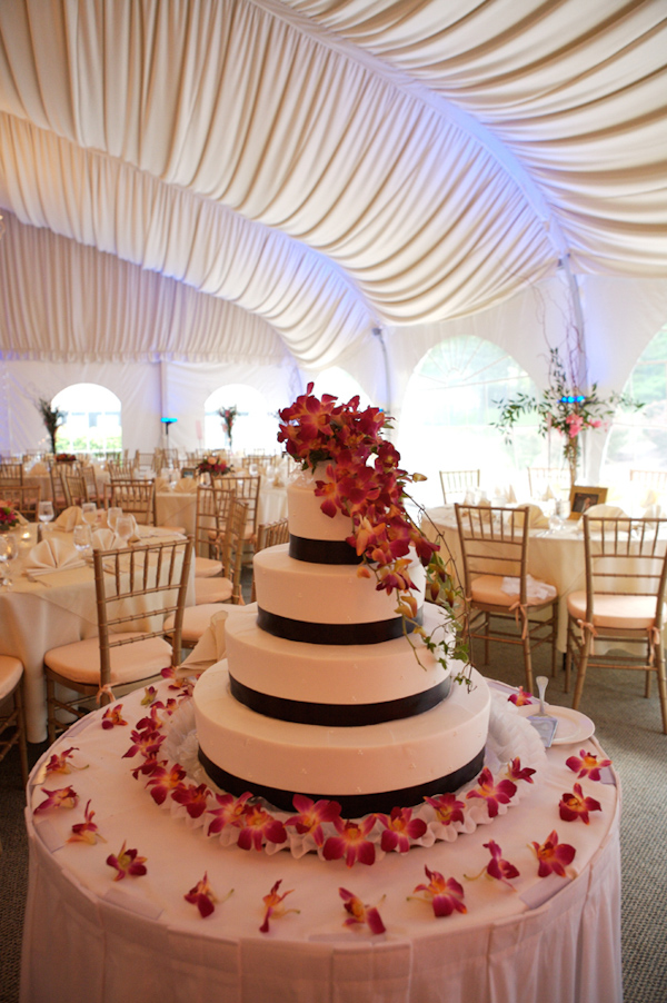 fondant wedding cake photo by Merri Cyr | Wedding Inspiration Board ...